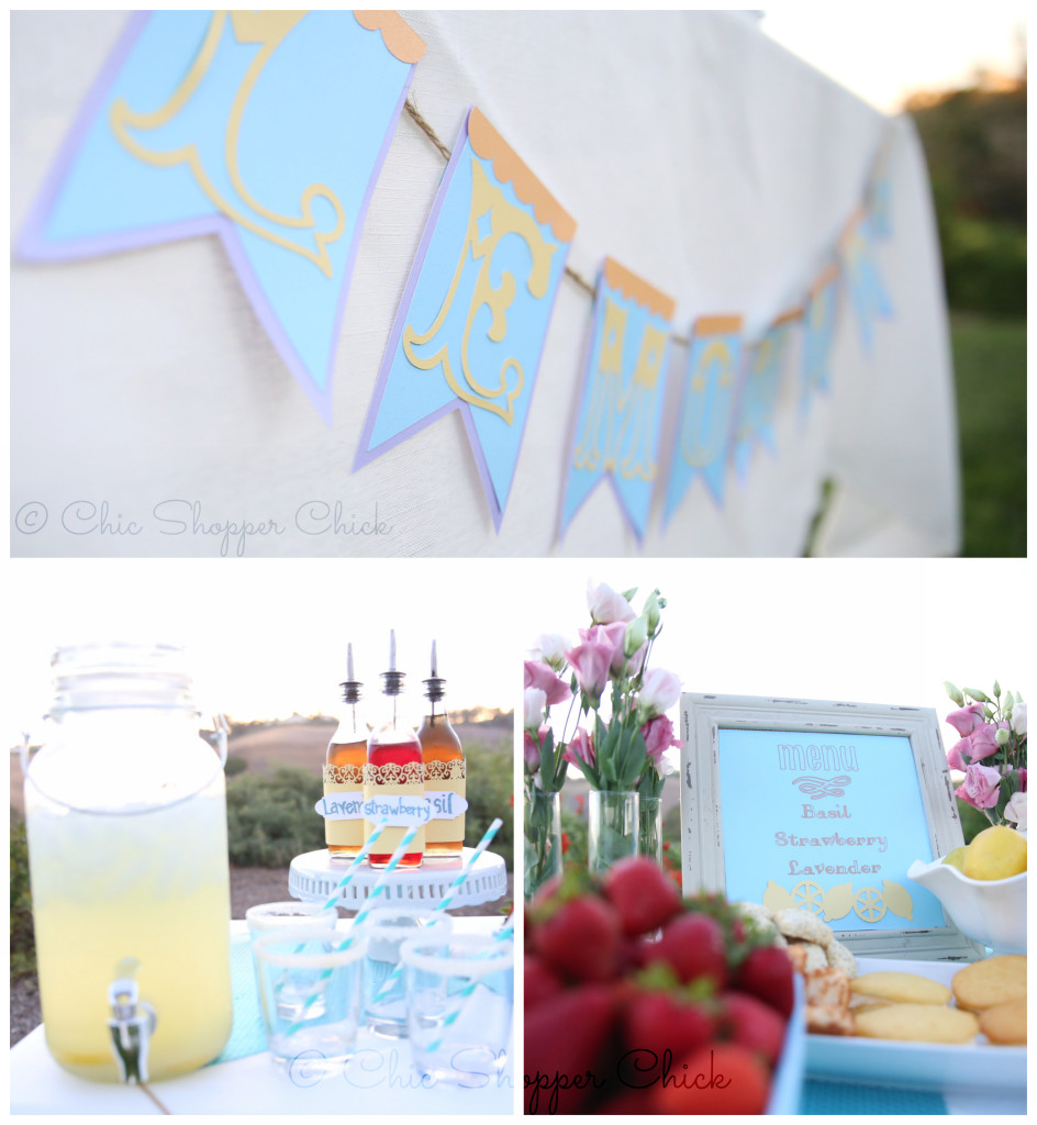 DIY Lemonade Bar and Drink Station